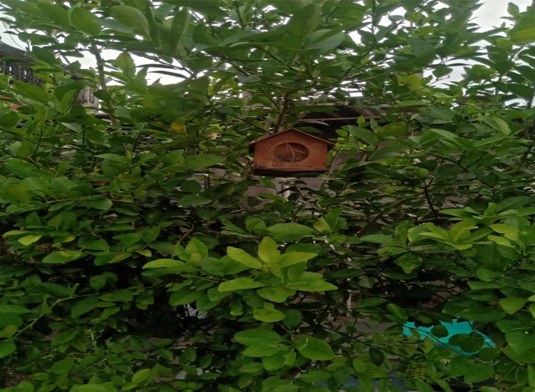 National NGO Federation - Campaigns