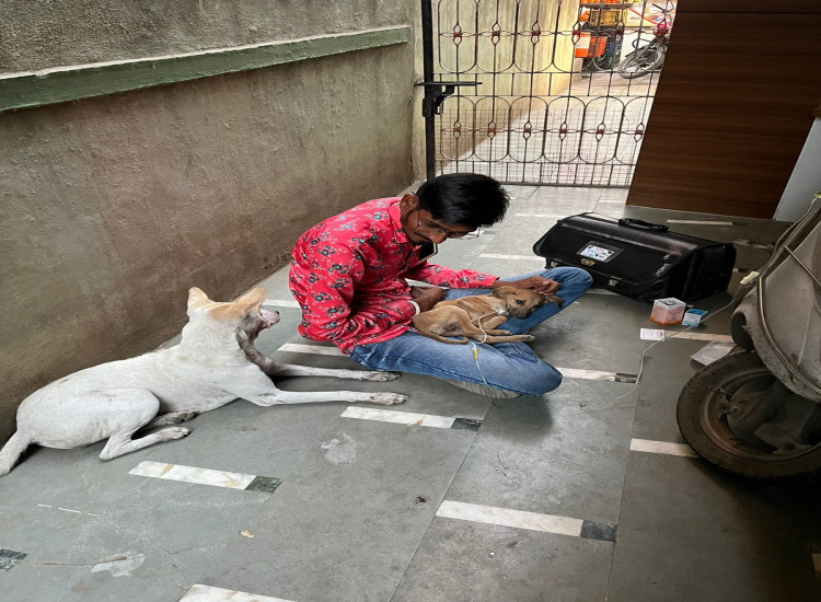 National NGO Federation - Home